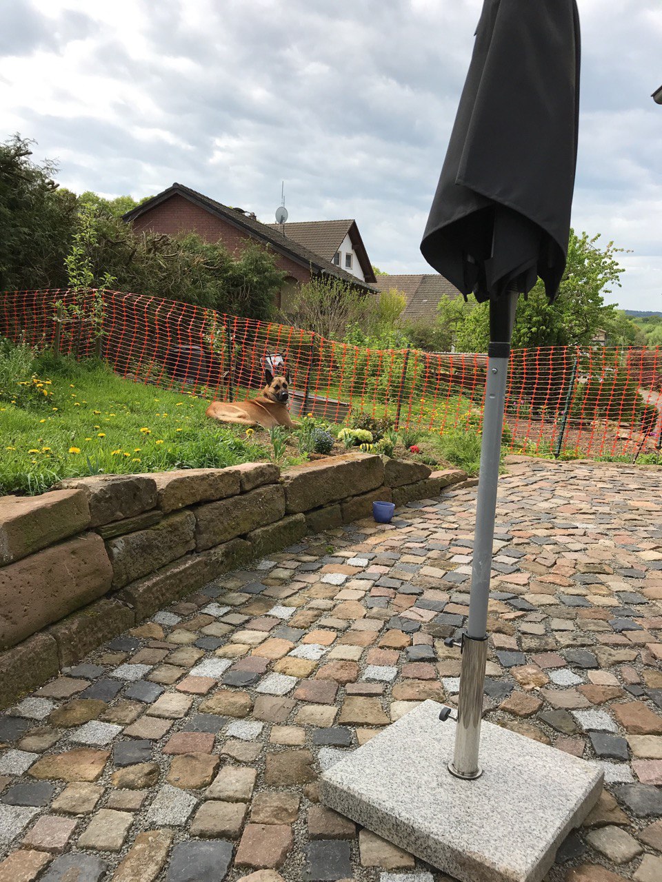 Galerie :: Baumgart-garten